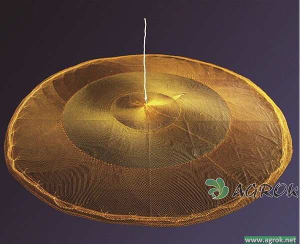 Japanese Style cast net